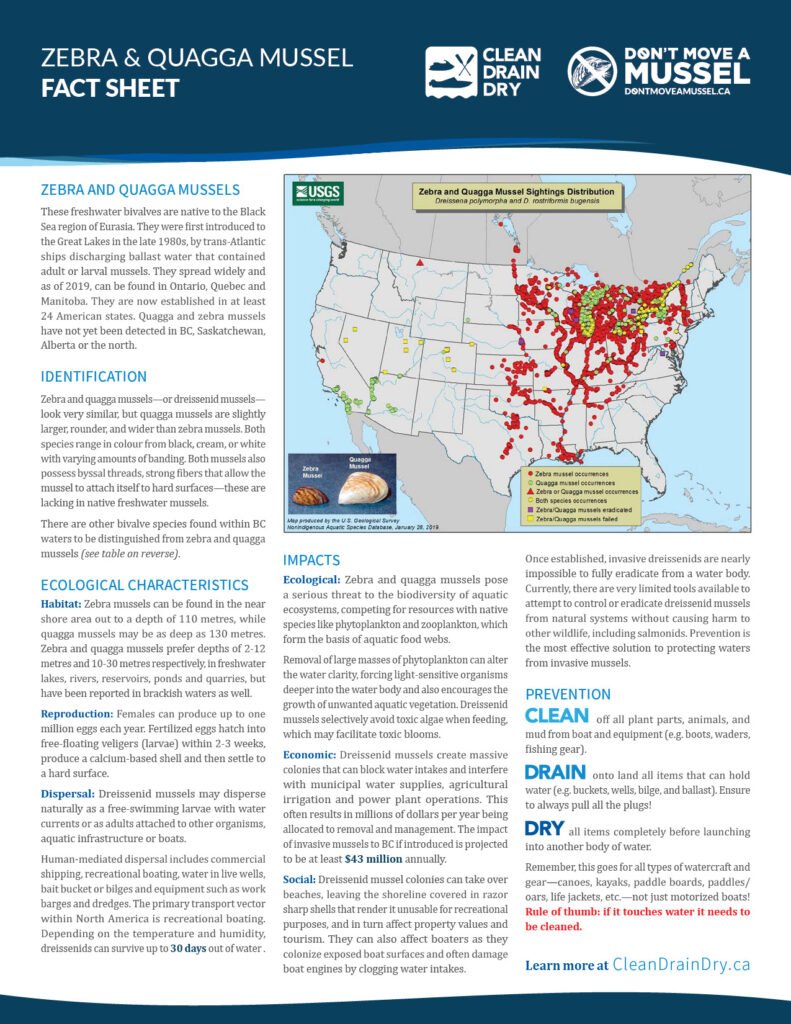 Don't Move A Mussel | Resources To Raise Awareness